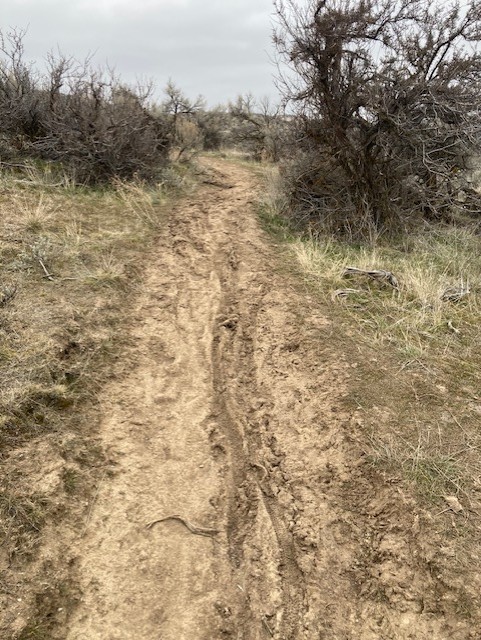 January 24 Trail Report | Ridge to Rivers