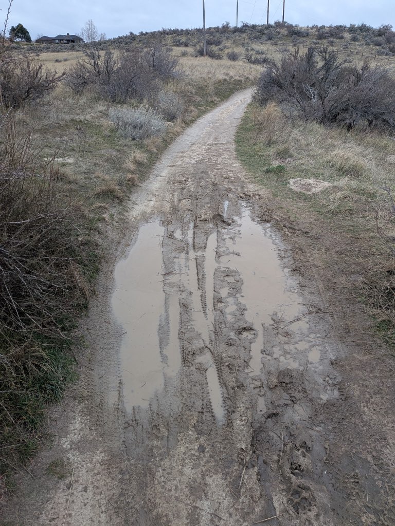 December 26 Trail Report | Ridge to Rivers