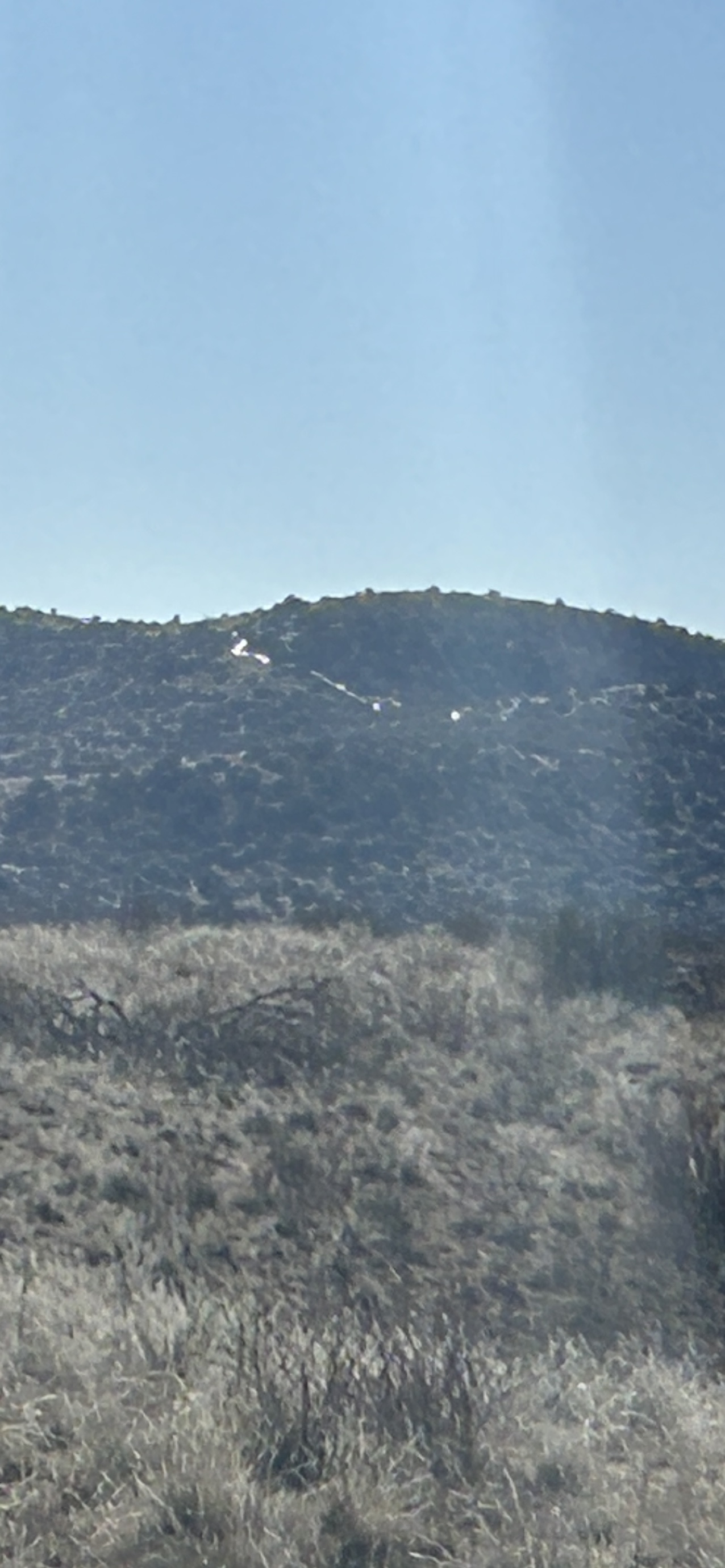 February 6 Trail Report | Ridge to Rivers