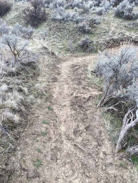 January 24 Trail Report | Ridge to Rivers