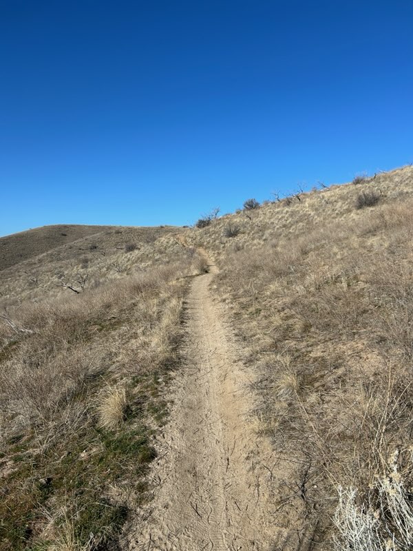 February 6 Trail Report | Ridge to Rivers